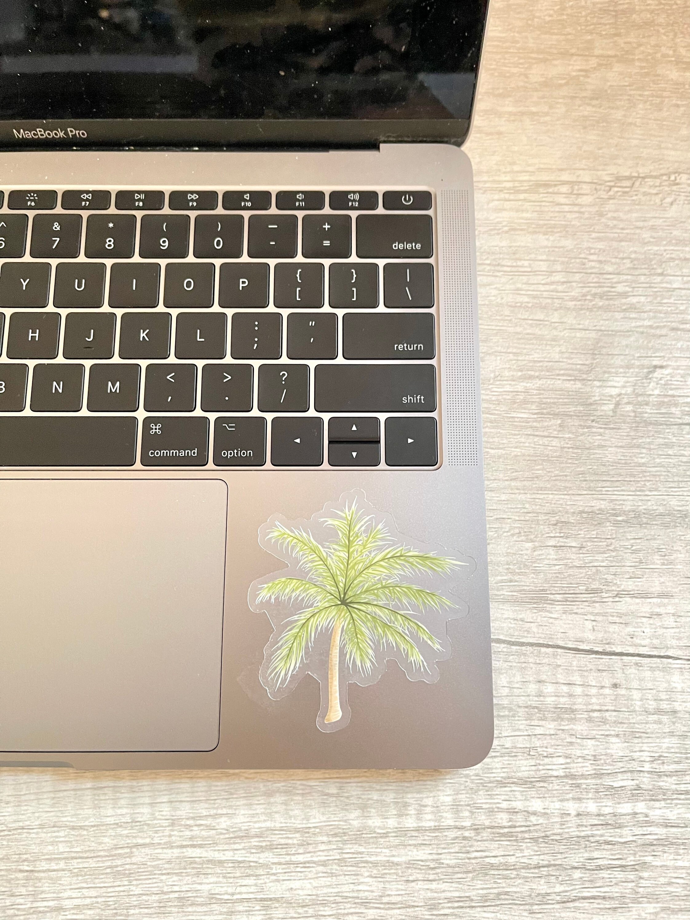 Palm Clear Sticker Die Cut Sticker/palm Tree/waterproof/dishwasher Safe ...