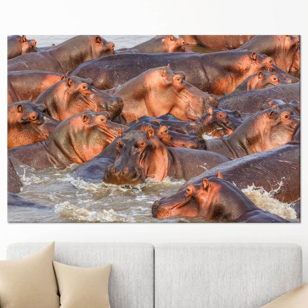 Hippo Canvas Art: Wildlife Animal Wall Decor - Etsy