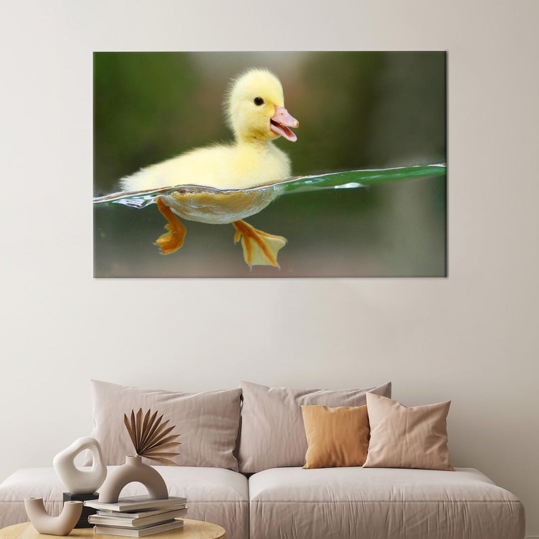 Duck Wall Art, Cute Baby Duck Poster, Animal Poster, Bathroom Canvas ...