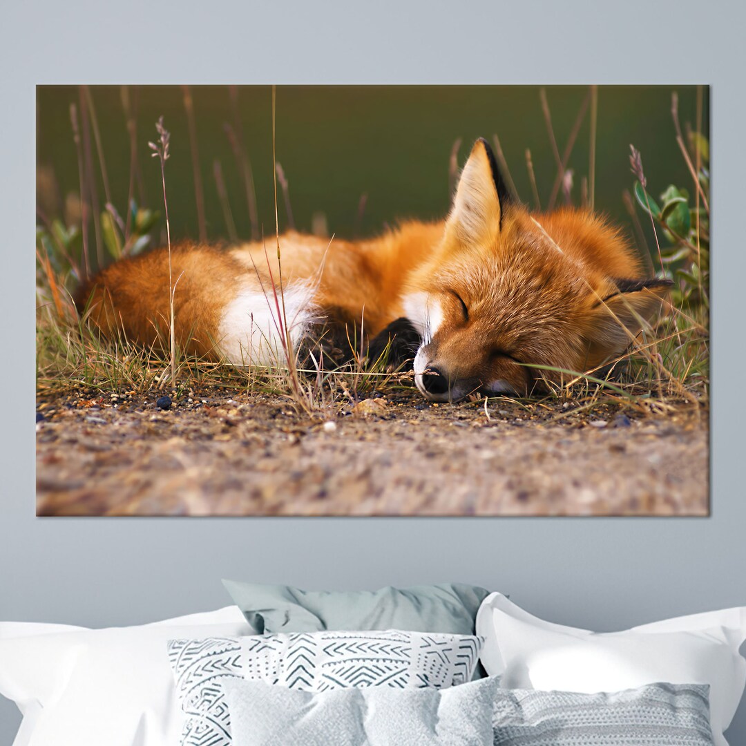 Sleeping Fox Canvas Print: Peaceful Woodland Animal Wall Art - Etsy
