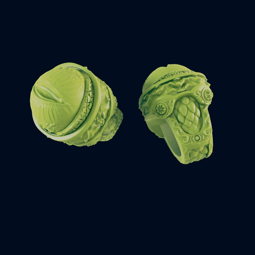 Ring of True Sight / Dragon Ring / Props / Cosplay / Artefact /ring ...