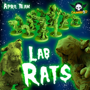 Lab Rats Fantasy Football Team / Rat Fantasy Football Team / Rat Team ...