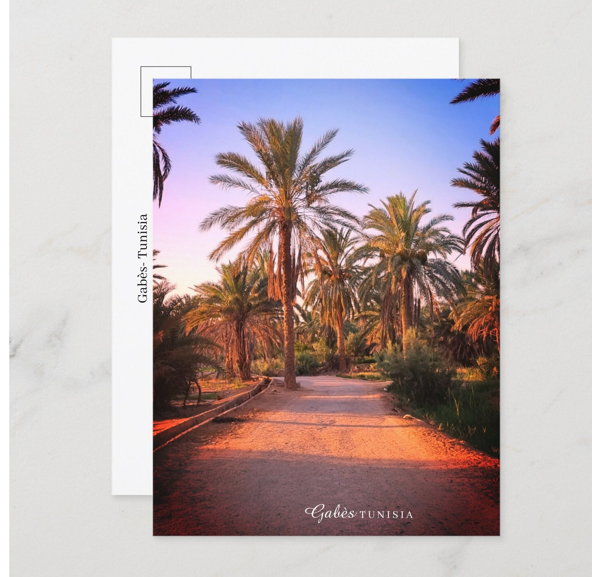 Oasis Gabes Tunisia Postcard - Etsy UK