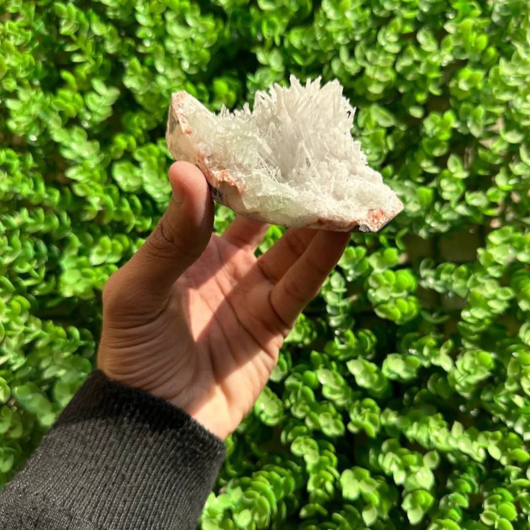 Rare Scolecite Spikes With Cubicles Green Apophyllite on Pink ...