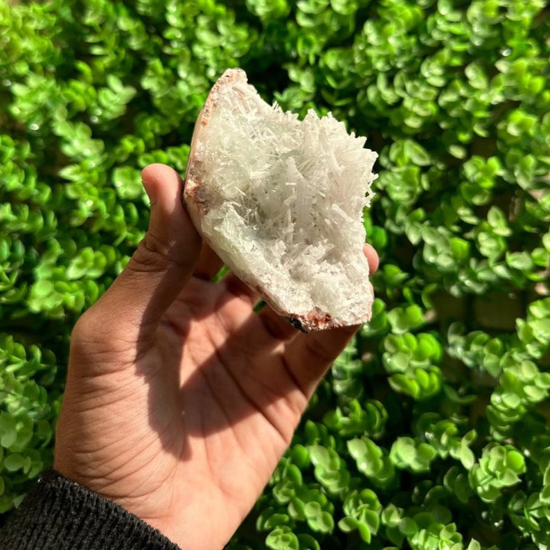 Rare Scolecite Spikes With Cubicles Green Apophyllite on Pink ...