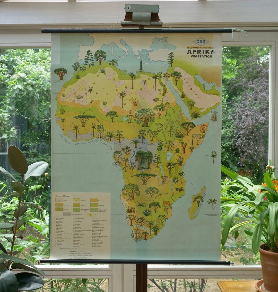 Vintage AFRICA AFRIKA School Chart VEGETATION Original Educational ...
