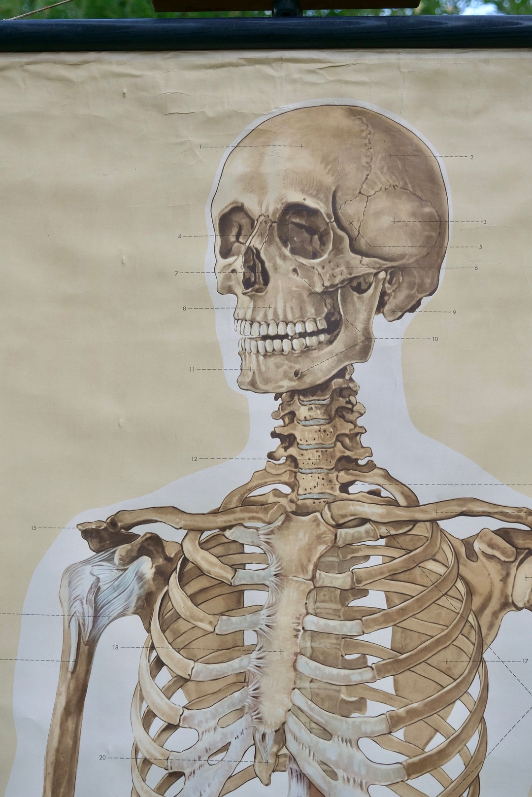 This item is unavailable - Etsy