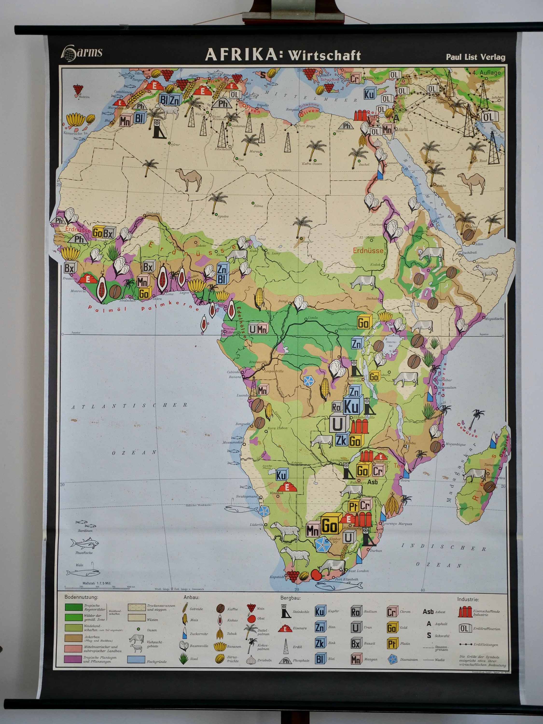 Vintage AFRICA AFRIKA School Chart VEGETATION Original Educational ...