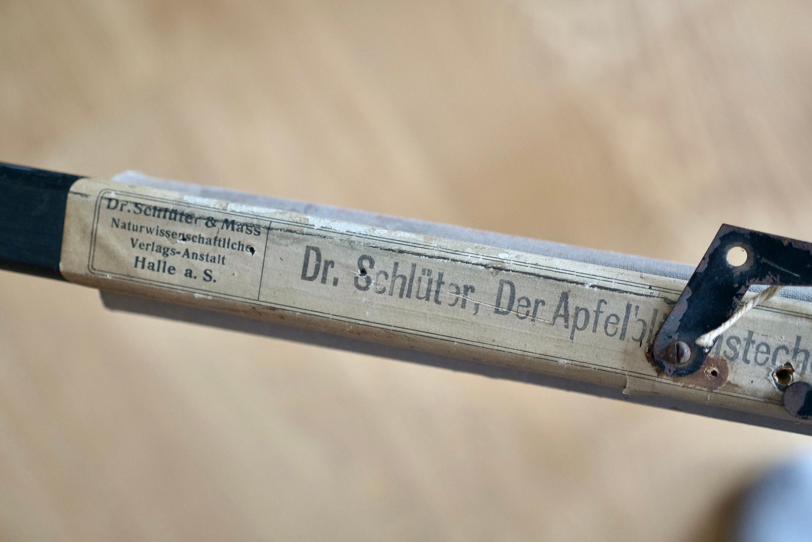 Vintage School Chart APPLE Blossom WEEVIL Original Educational Chart - Etsy