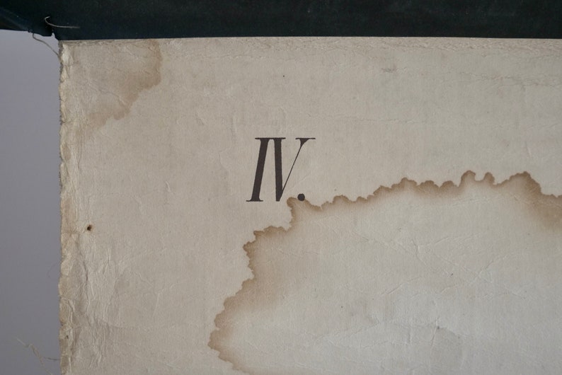 Vintage Human TORSO Anatomical CHART Original Educational Chart - Etsy