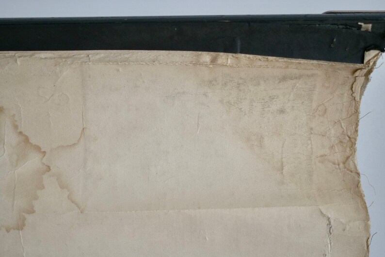 Vintage Human TORSO Anatomical CHART Original Educational Chart - Etsy