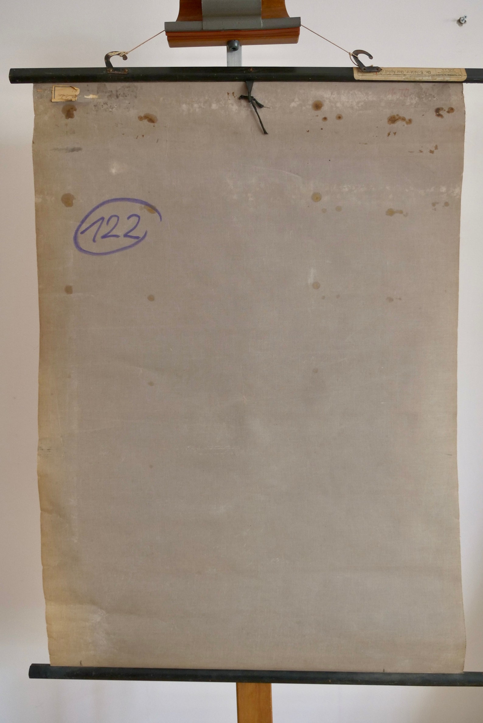 Vintage School Chart APPLE Blossom WEEVIL Original Educational Chart - Etsy