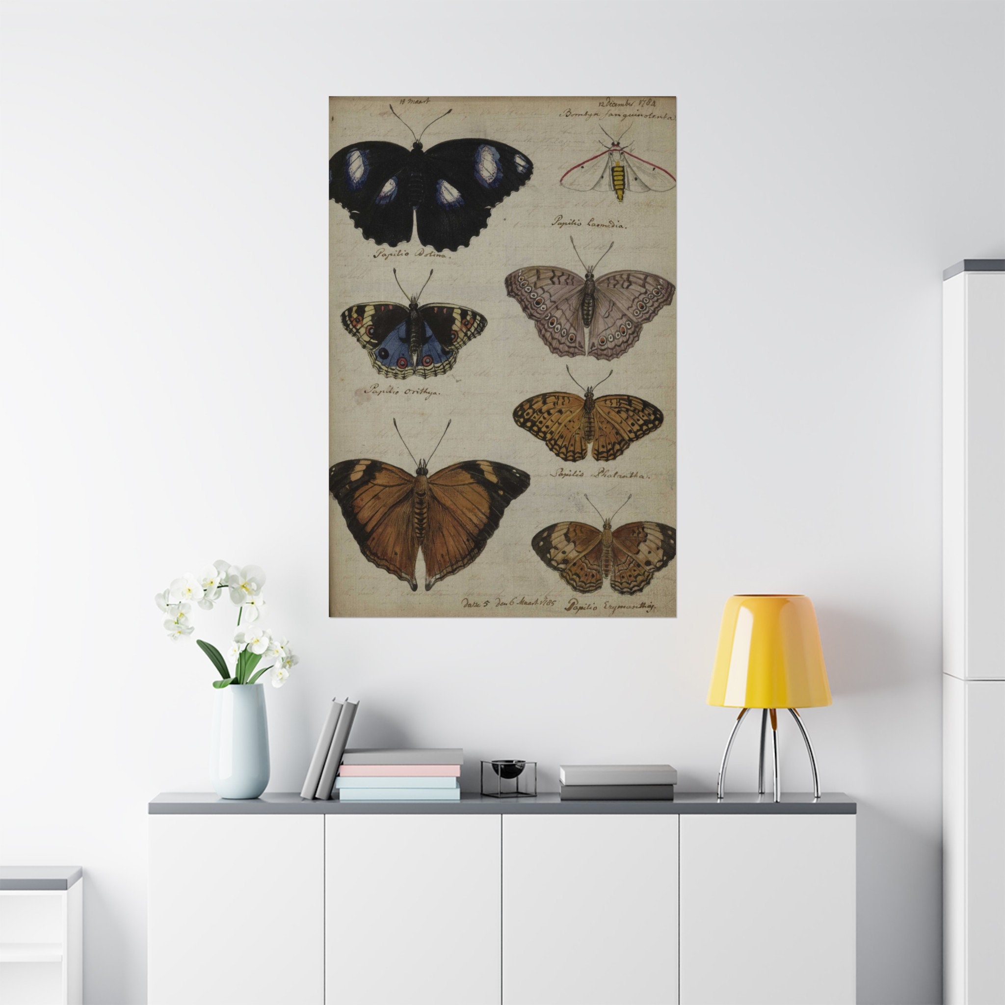 Insect Taxidermy Poster Gothic Cottagecore Dark Academia Whimsigoth ...