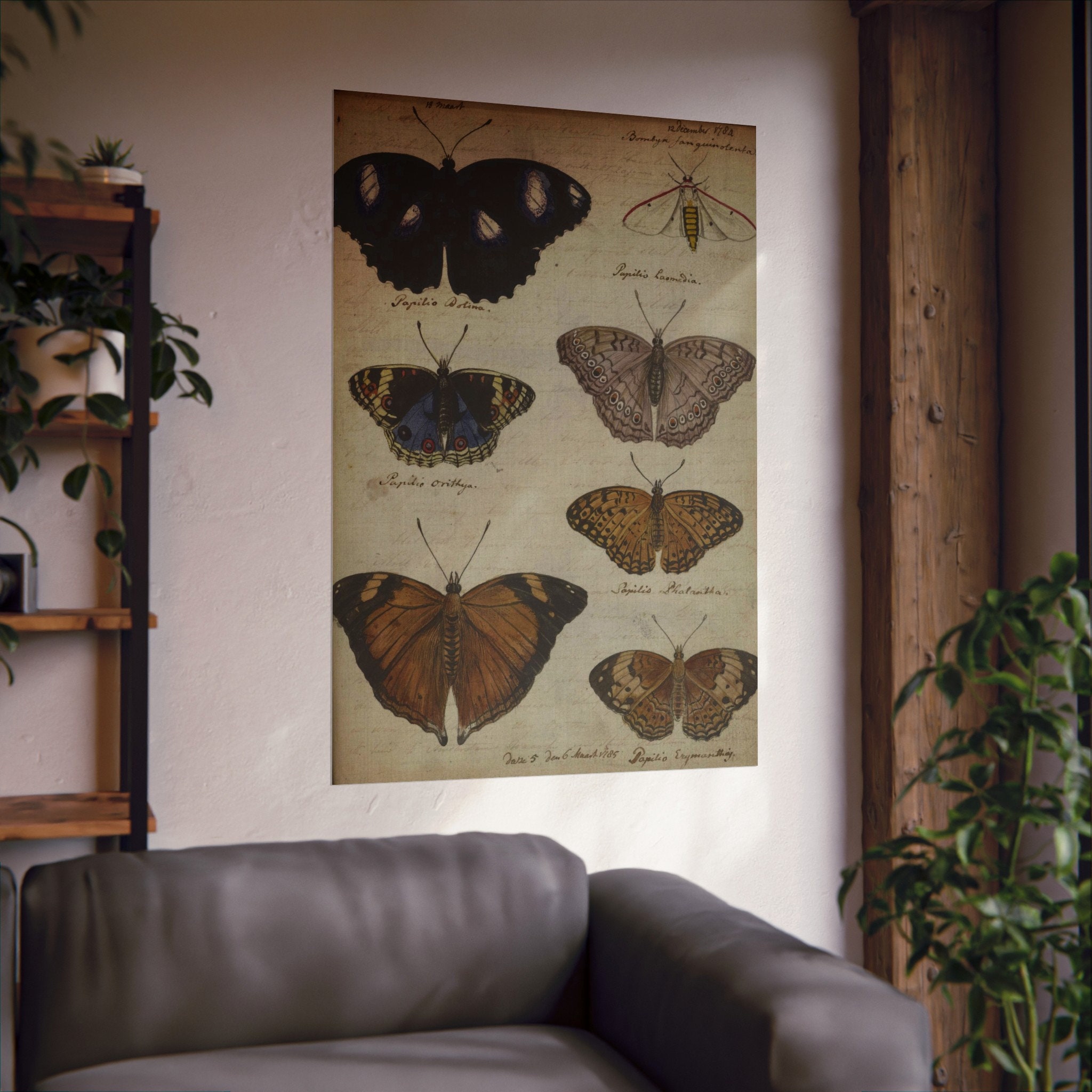 Insect Taxidermy Poster Gothic Cottagecore Dark Academia Whimsigoth ...