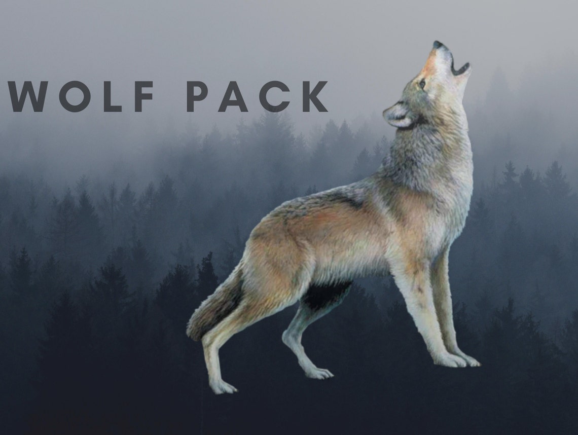 Wolf Pack PNG Clip Art Wolves Sublimation Design Wolf Digital - Etsy