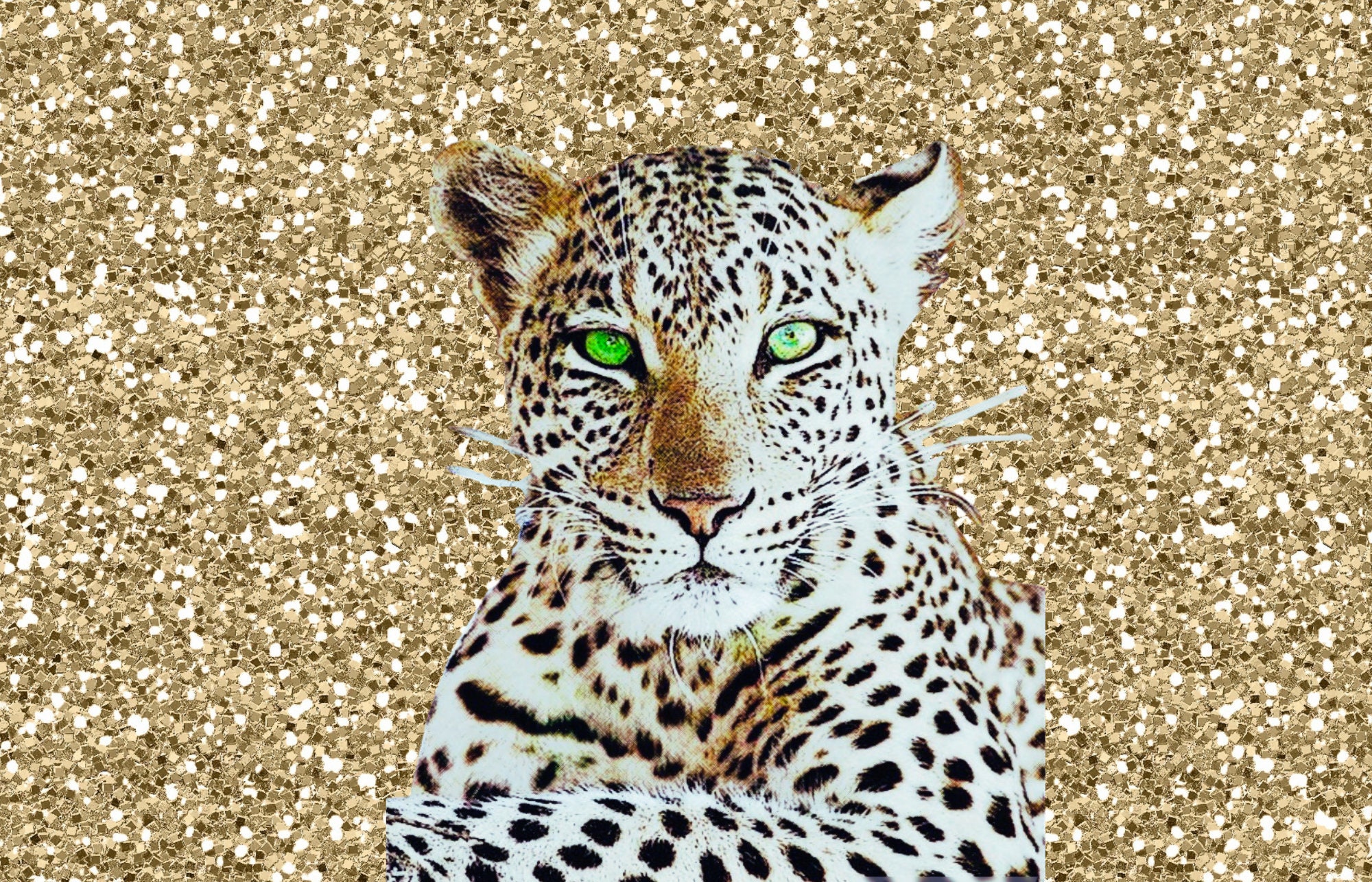 Water Color Big Cat Pack Lion Tiger Leopard PNG/SVG Digital - Etsy