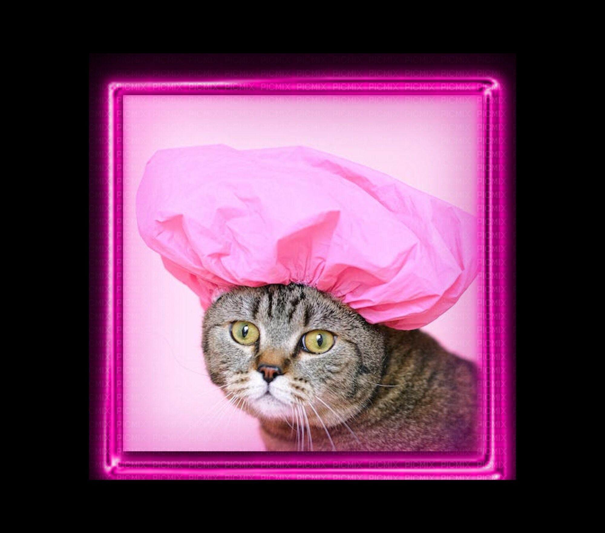 Neon Frame Clip Art Pack PNGS/ Digital Download/neon Frame - Etsy Singapore