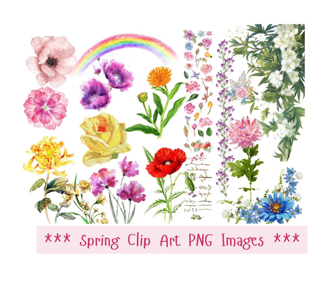 Spring Theme Clip Art, Watercolor Wildflowers, PNG Files, Digital ...