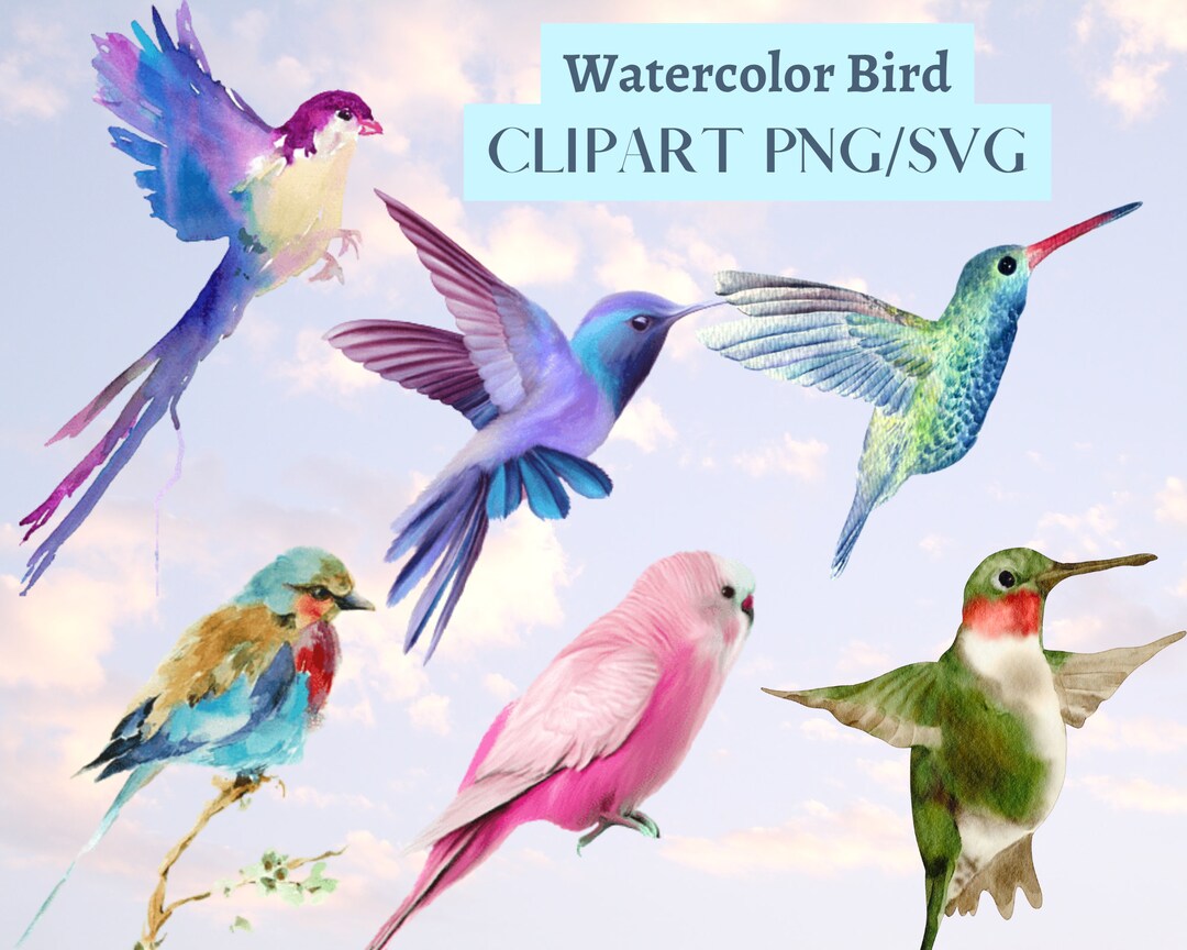 Beautiful Watercolor Birds Clip Art for Digital Download/sublimation ...