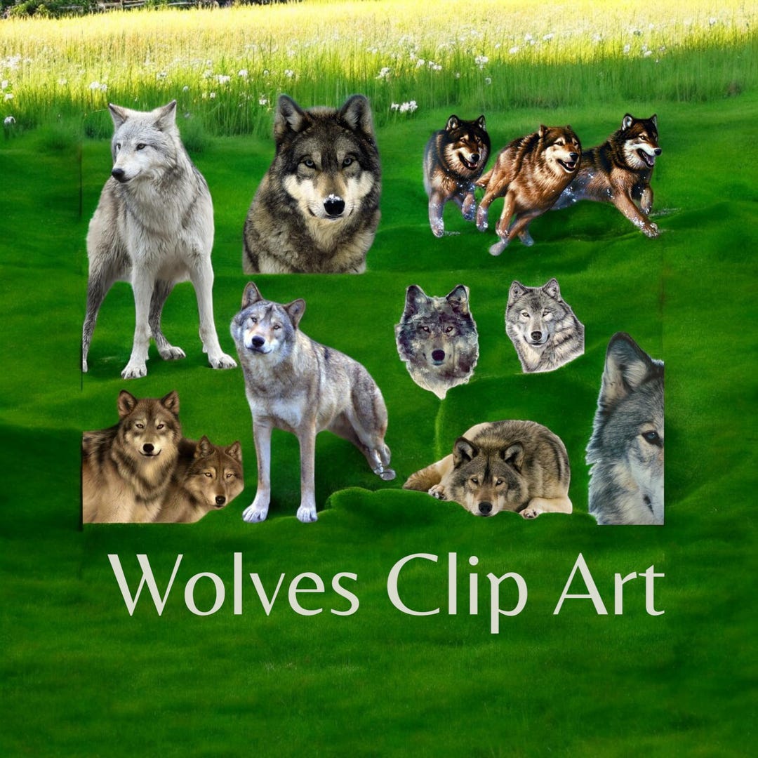 Wolf Pack Clip Art: Transparent PNG Images (commercial Use) - Etsy