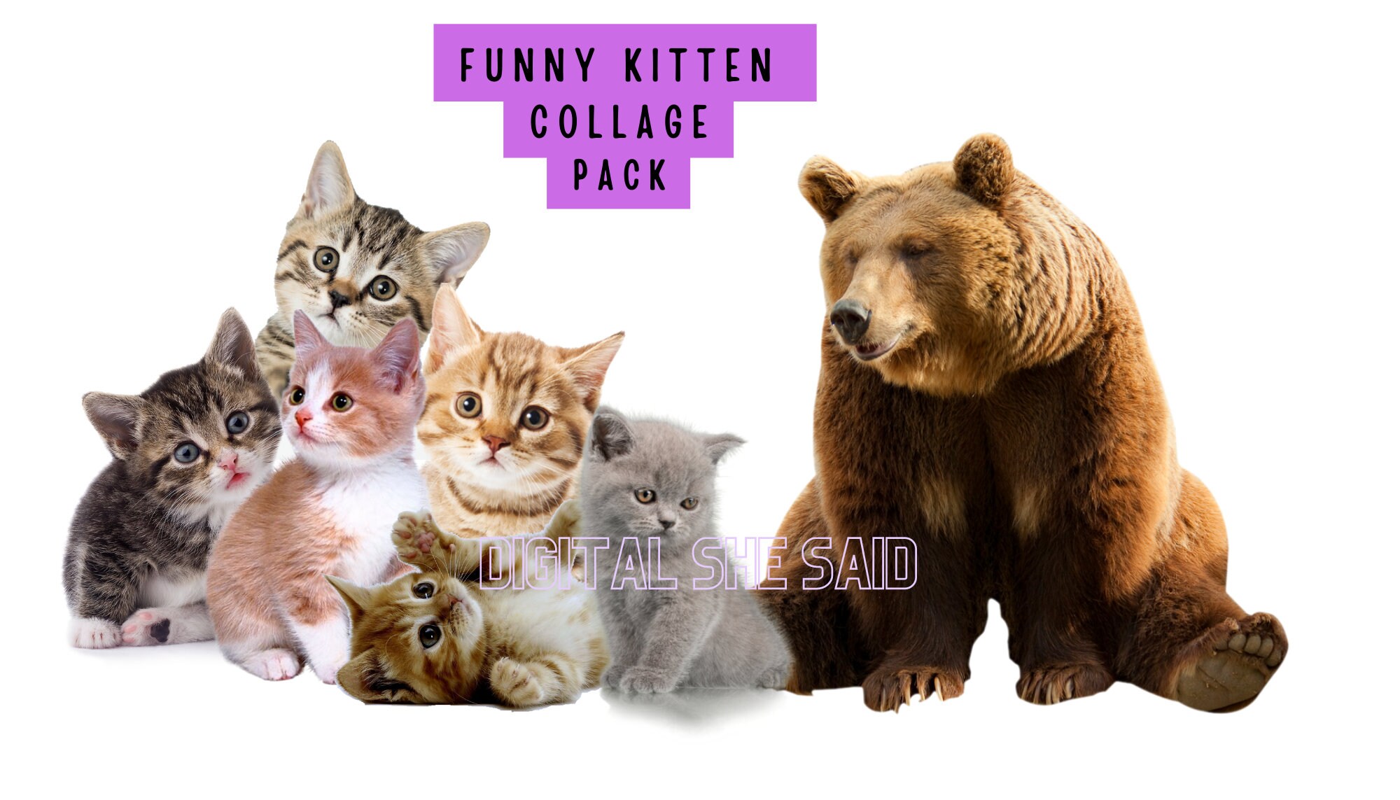 Funny Cat/kitten Collage Pack PNGS Digital Download - Etsy