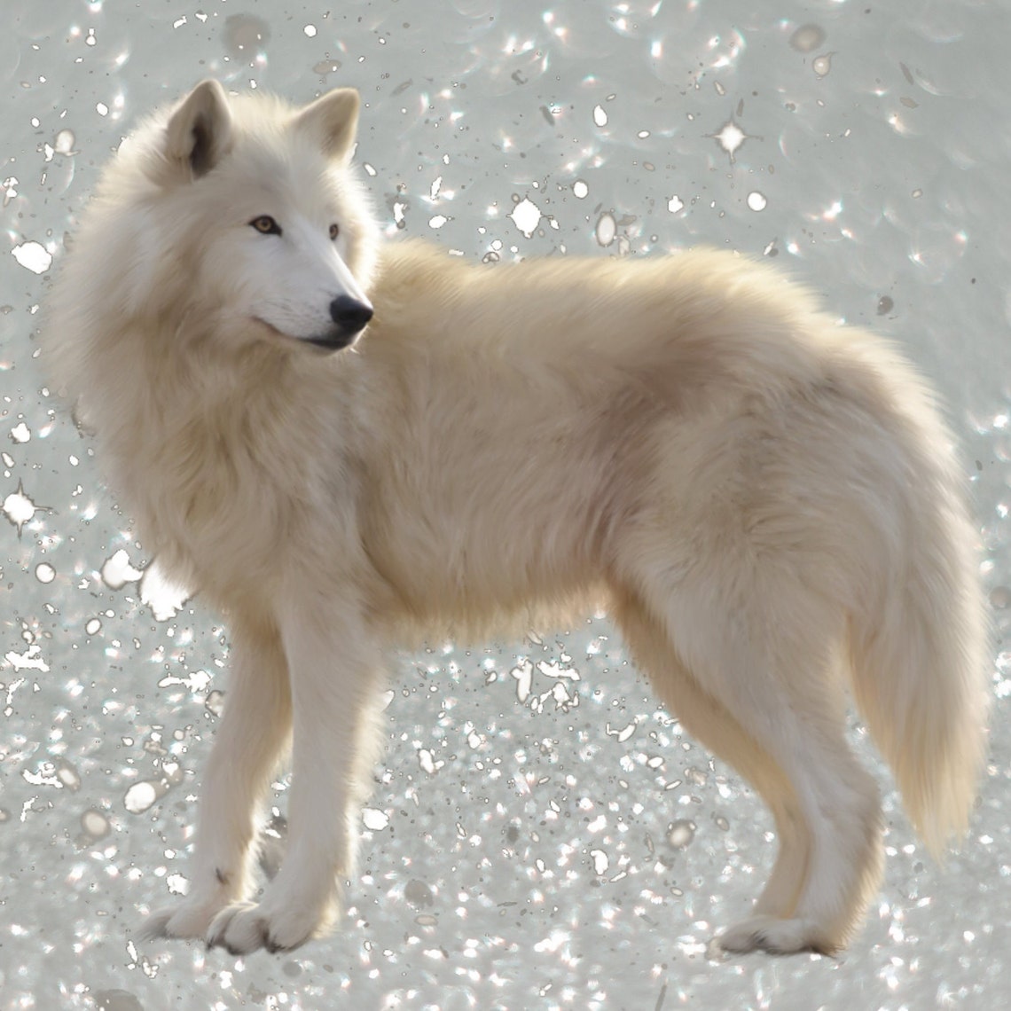 Wolf Pack PNG Clip Art Wolves Sublimation Design Wolf Digital - Etsy