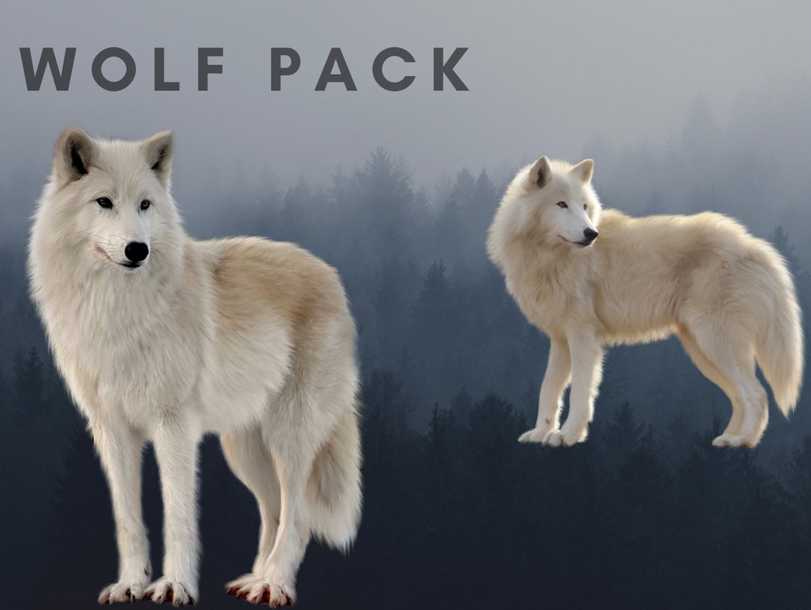 Wolf Pack PNG Clip Art Wolves Sublimation Design Wolf Digital - Etsy