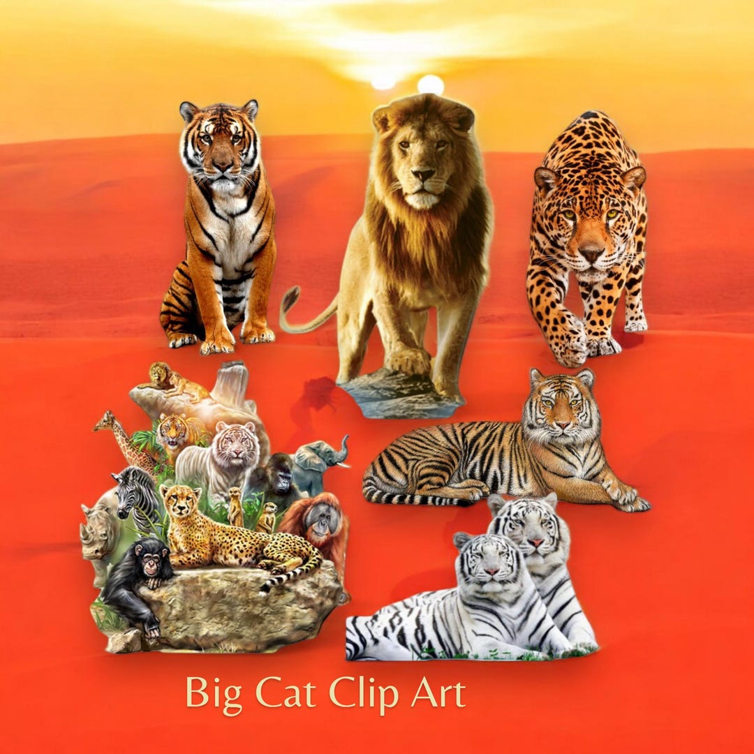 Lion Clip Art, Tiger PNG, Big Cat Bundle, Leopard Clip Art, Digital ...