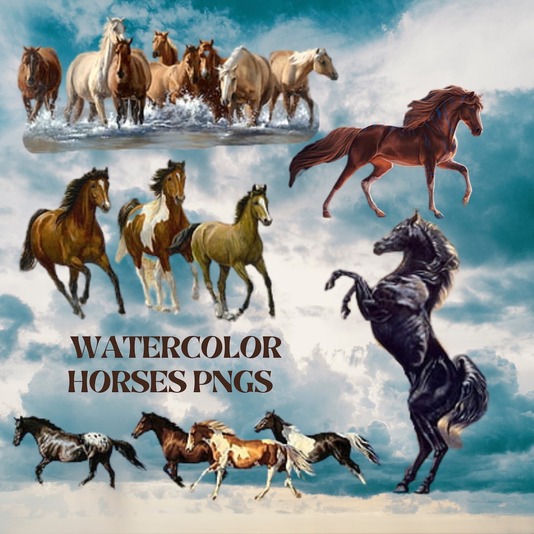 Watercolor Horses Clip Art PNGS Horses Digital Downloads Only Stallion ...