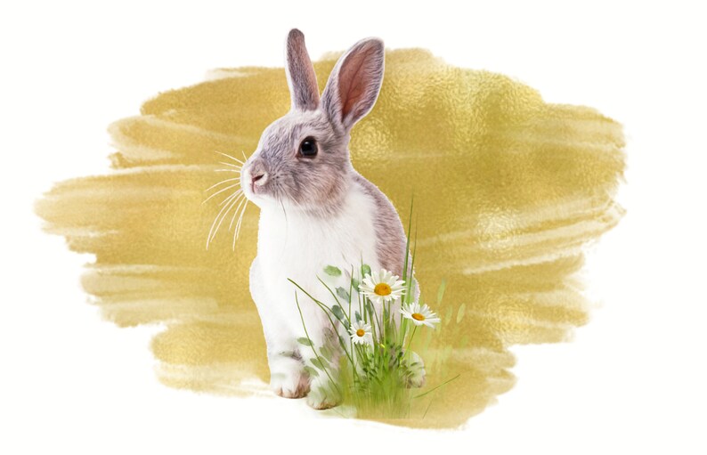 Watercolor Rabbit Clip Art PNG/SVG Pack/bunnies Digital - Etsy