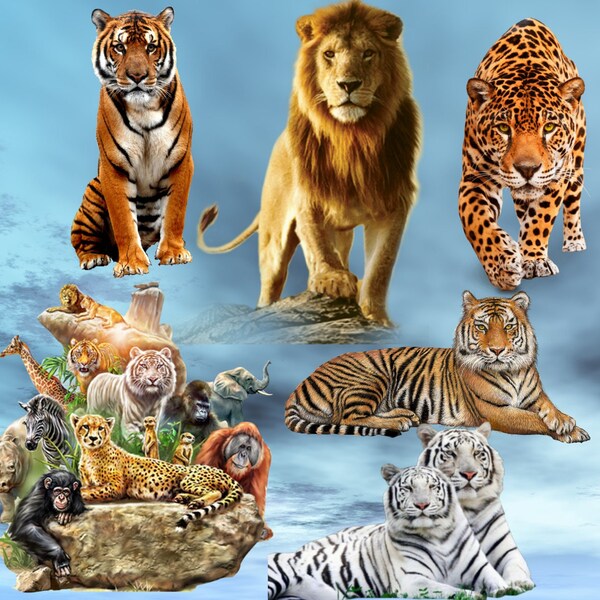 Big Cat - Etsy