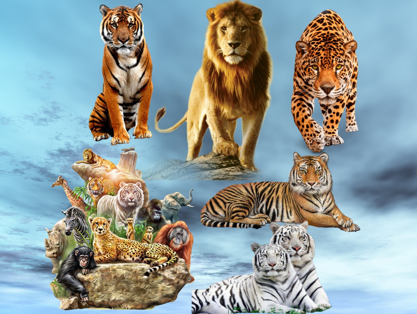 Big Cat Pack Lion Tiger PNG Digital Download Only/transparent - Etsy