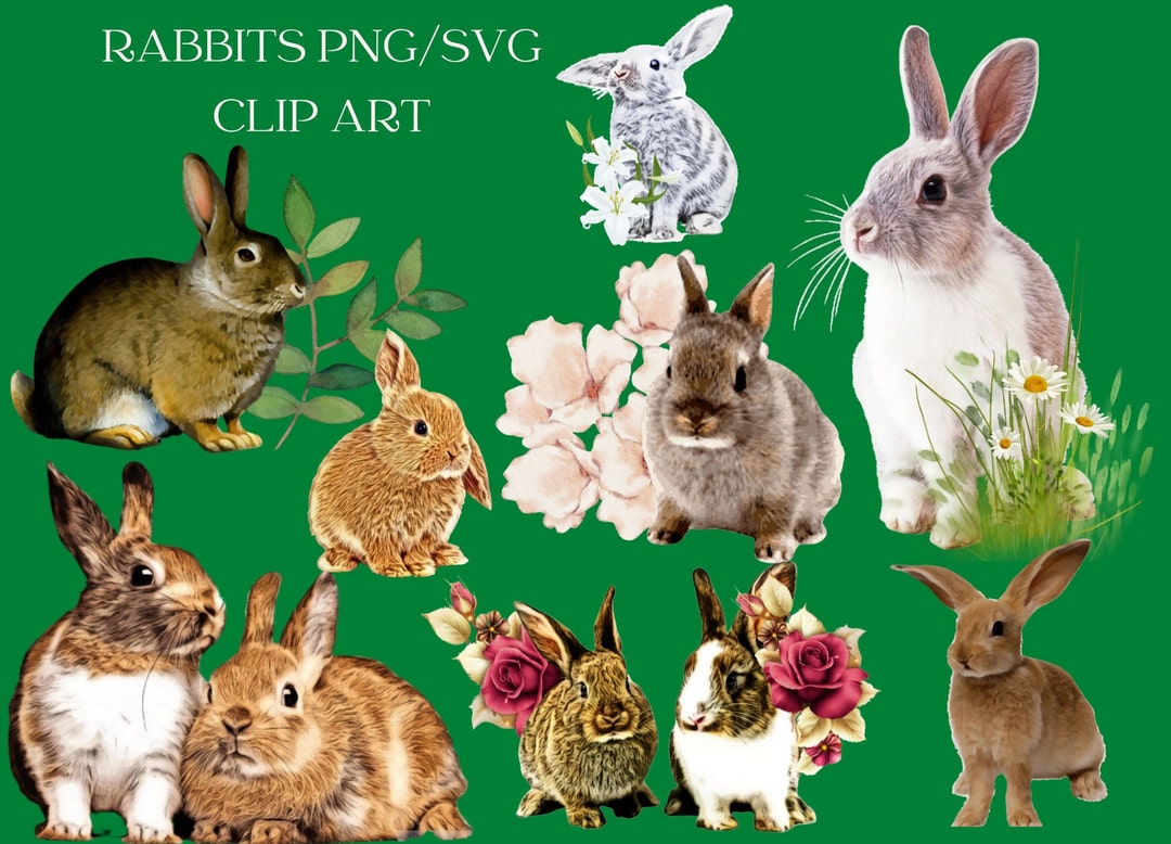 Watercolor Rabbit Clip Art PNG/SVG Pack/bunnies Digital - Etsy