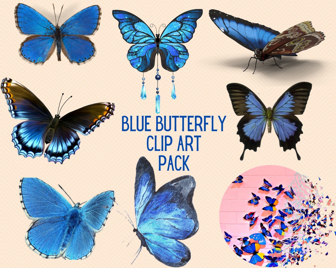 Blue Butterfly Pack PNG/ Beautiful Blue Butterflies PNGS - Etsy