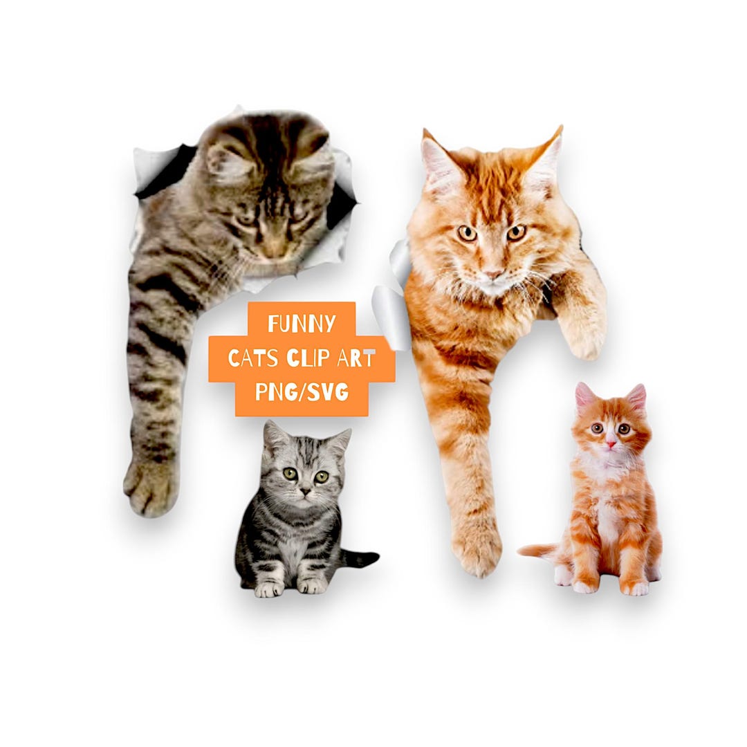Funny Cat Clip Art | Cat SVG Designs, 3D Cat Graphics for Crafting ...