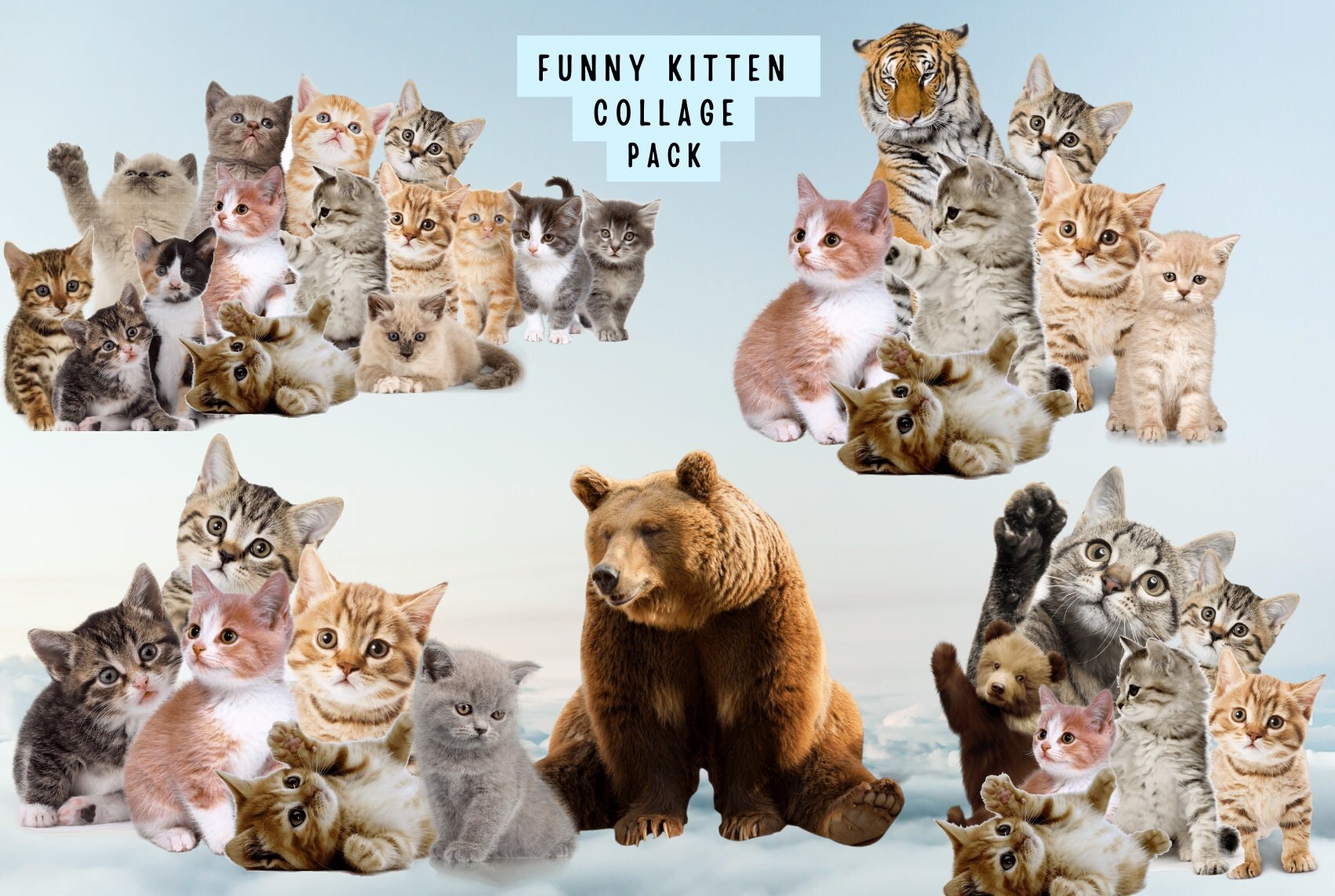 Funny Cat/kitten Collage Pack PNGS Digital Download - Etsy