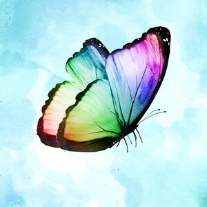 Rainbow Butterfly Clip Art Pack /multi-color Butterflies Pngs/ Digital ...