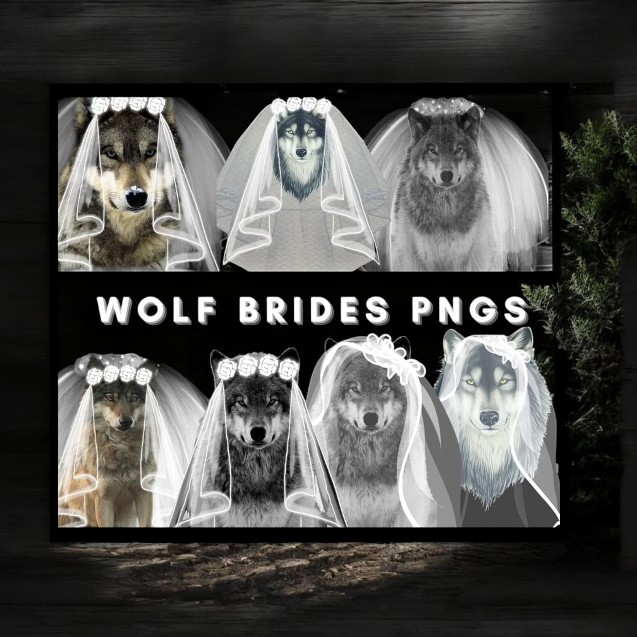 Wolf Bridezilla Clip Art: Funny Wedding PNG for Bachelorette Party - Etsy