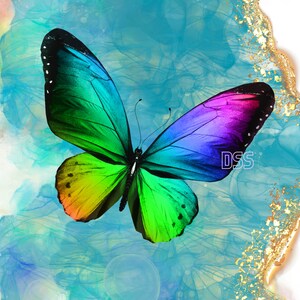 Rainbow Butterfly Clip Art Pack /multi-color Butterflies Pngs/ Digital ...
