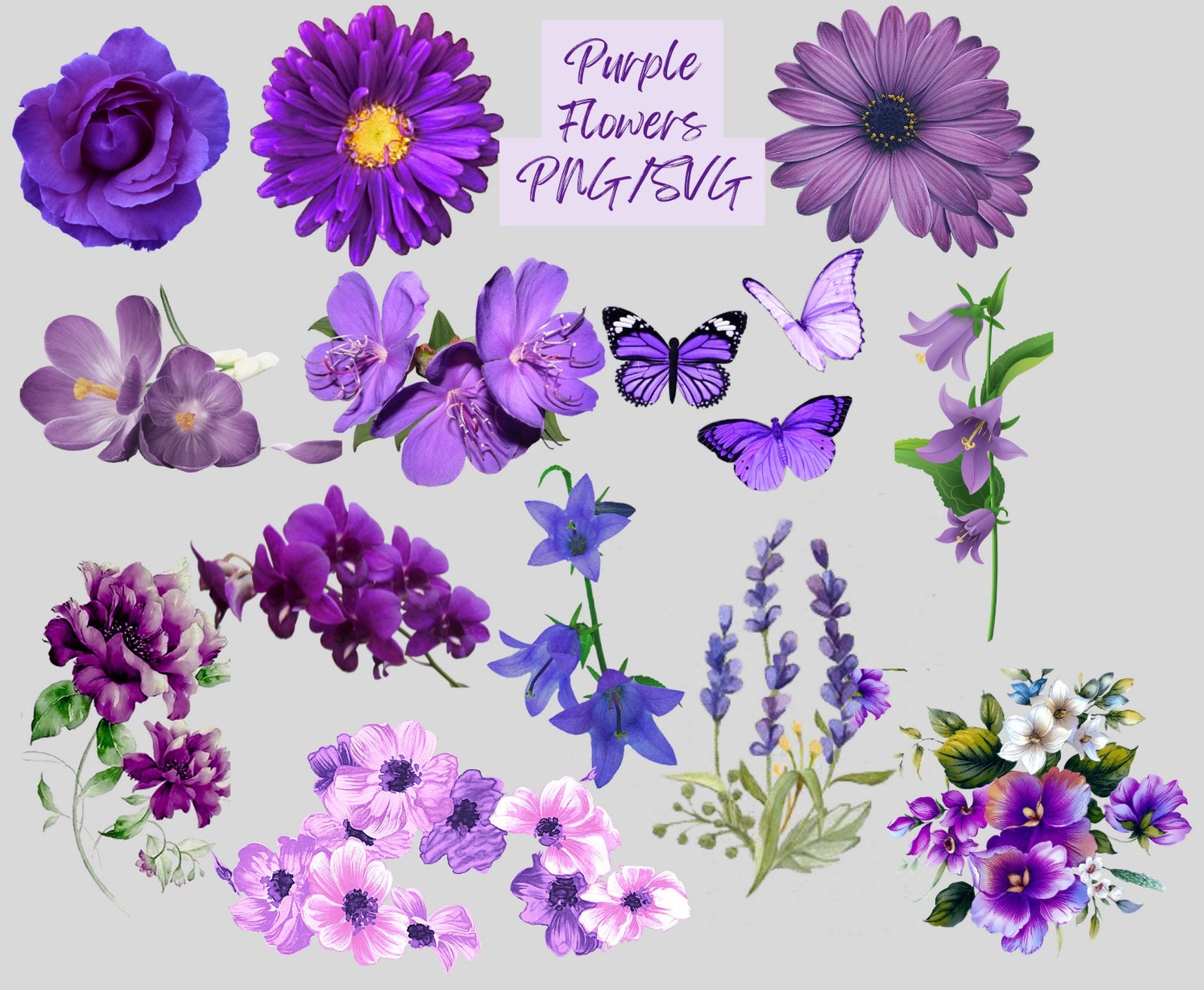 Purple Flowers Pack Png/svgs Beautiful Purple Flowers PNG - Etsy