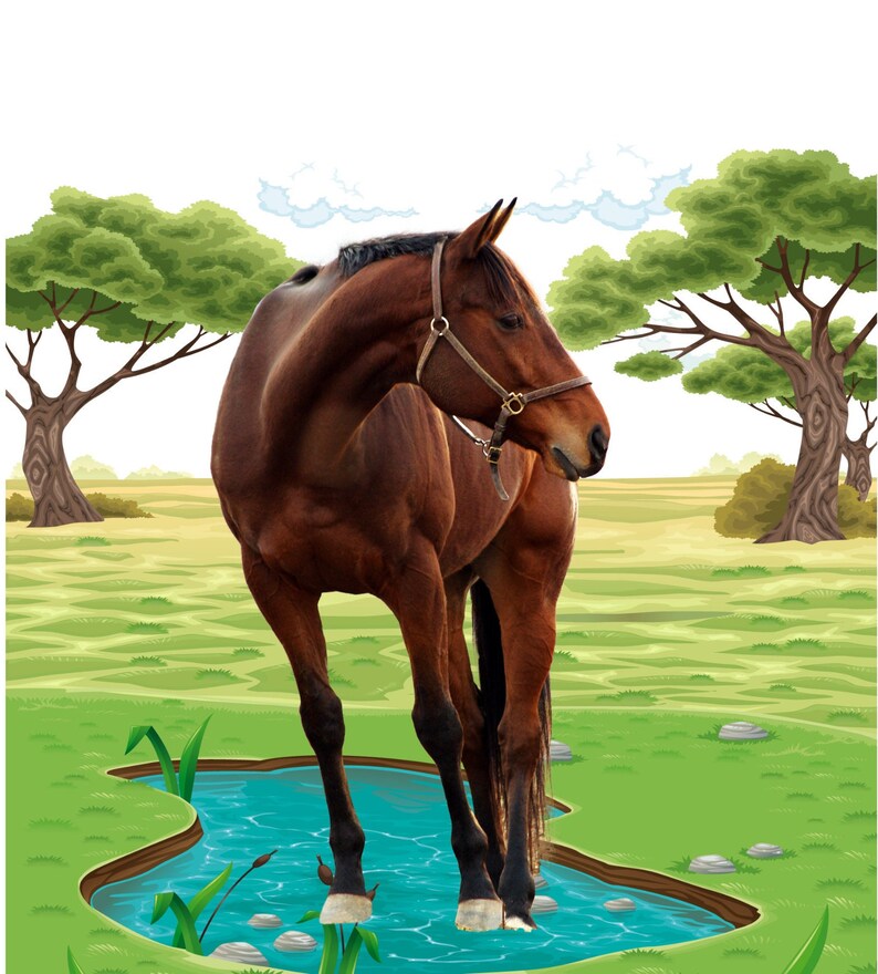 Watercolor Horses Clip Art PNGS Horses Digital Downloads Only - Etsy