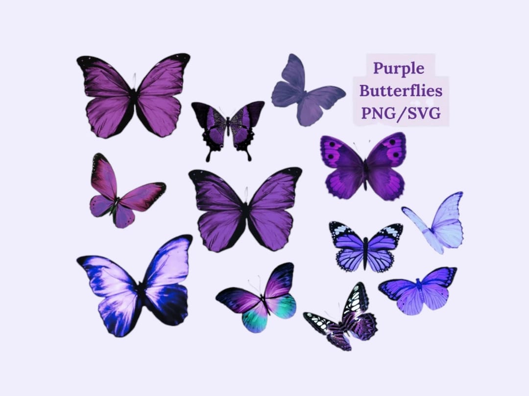 Purple Butterfly Clip Art, Purple Butterfly PNG, Purple Butterfly SVG ...