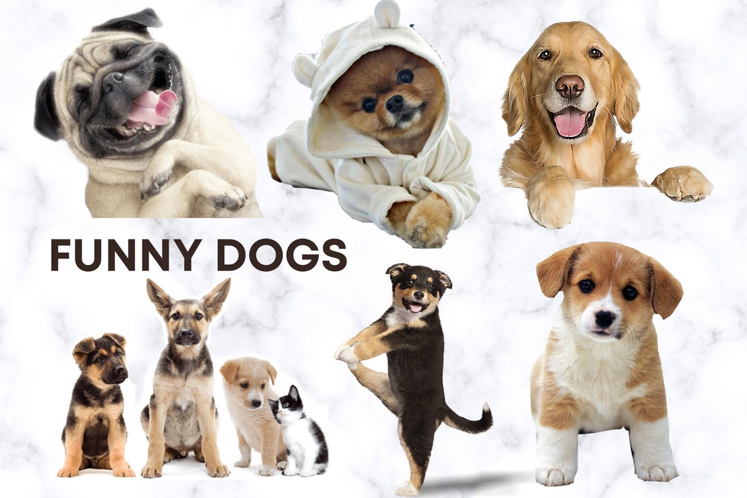 Dogs and Puppies PNGS/DOG Digital Downloads /puppy Clip Art Sublimation ...