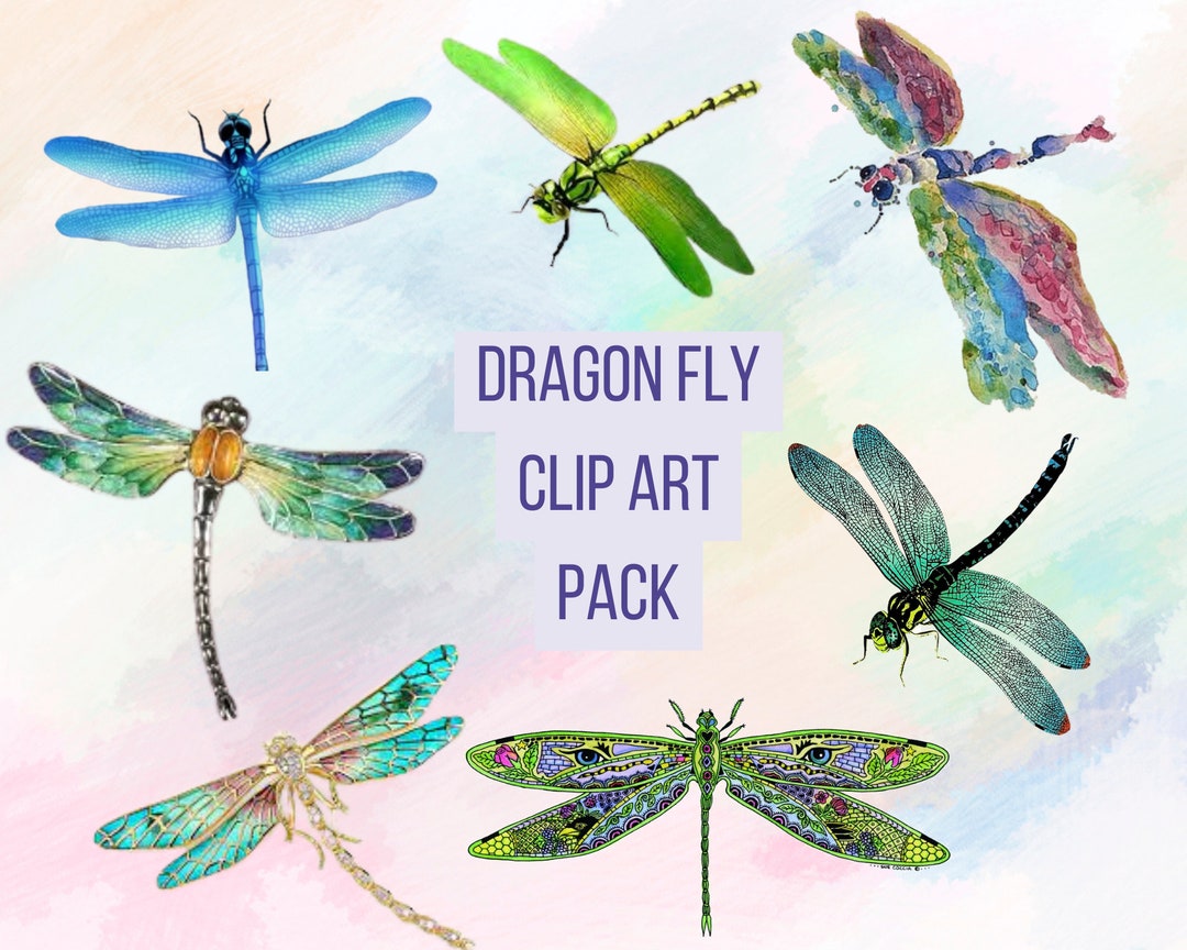 Watercolor Dragonfly Clip Art Pack PNG/SVG Files/sublimation Design ...