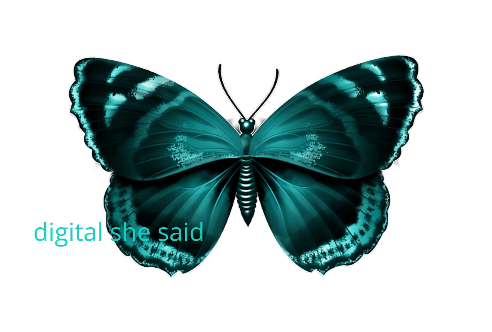 Teal Butterfly Pack PNG/SVG Beautiful Teal Butterflies PNGS - Etsy