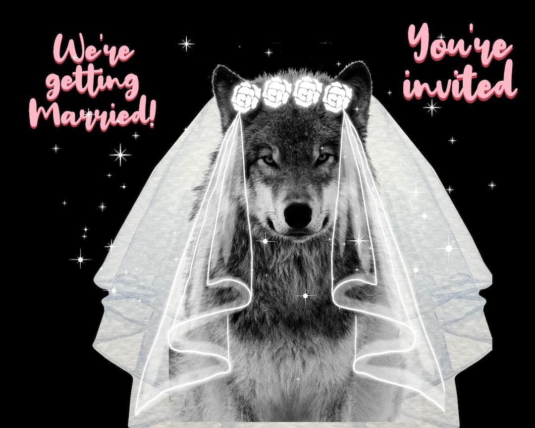 Wolf Bridezilla Clip Art: Funny Wedding PNG for Bachelorette Party - Etsy