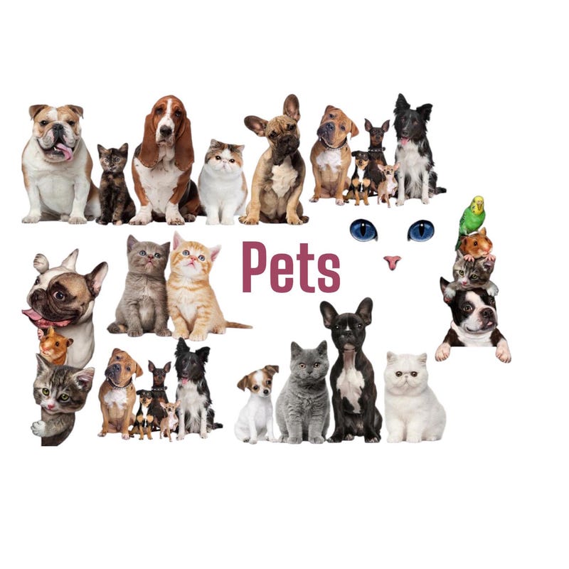 Pet Clip Art - Etsy