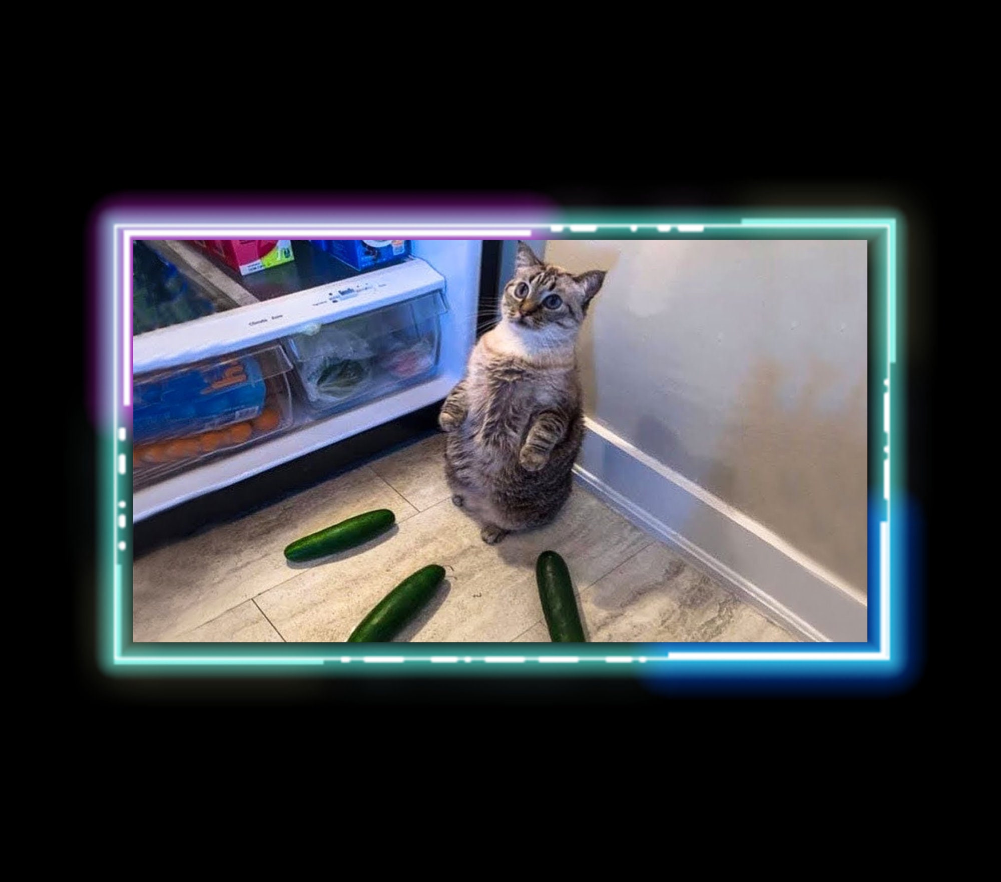 Neon Frame Clip Art Pack PNGS/ Digital Download/neon Frame - Etsy Singapore