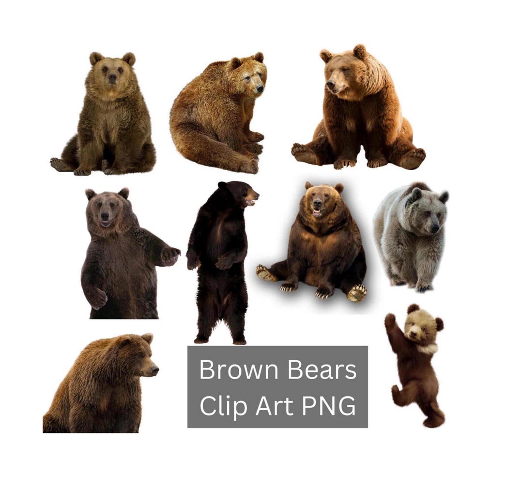 Brown Bear Clip Art, Grizzly Bear Clip Art, Camp Flyers, Nature Lovers ...