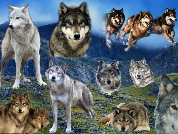 Wolf Pack PNG Digital Download Only/transparent Background | Etsy